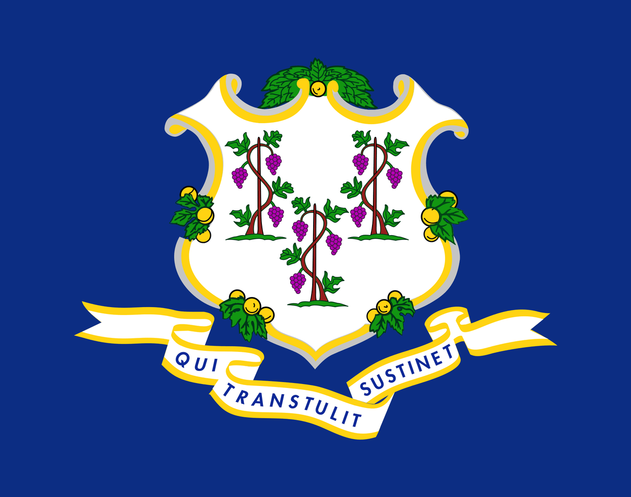Us State Flags Ranked Which State Has The Coolest Flag Action Flag