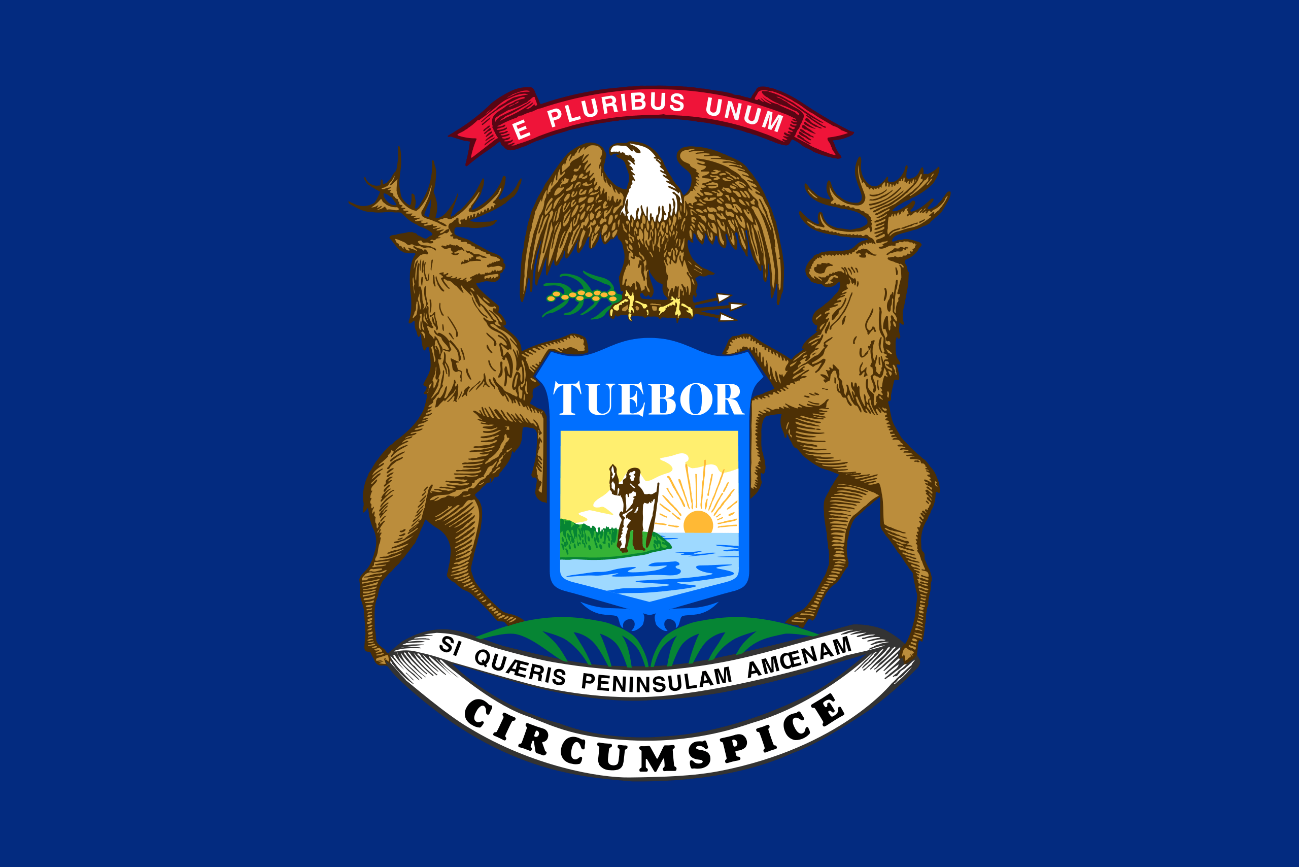 State Flags | Michigan Flags – Action Flag